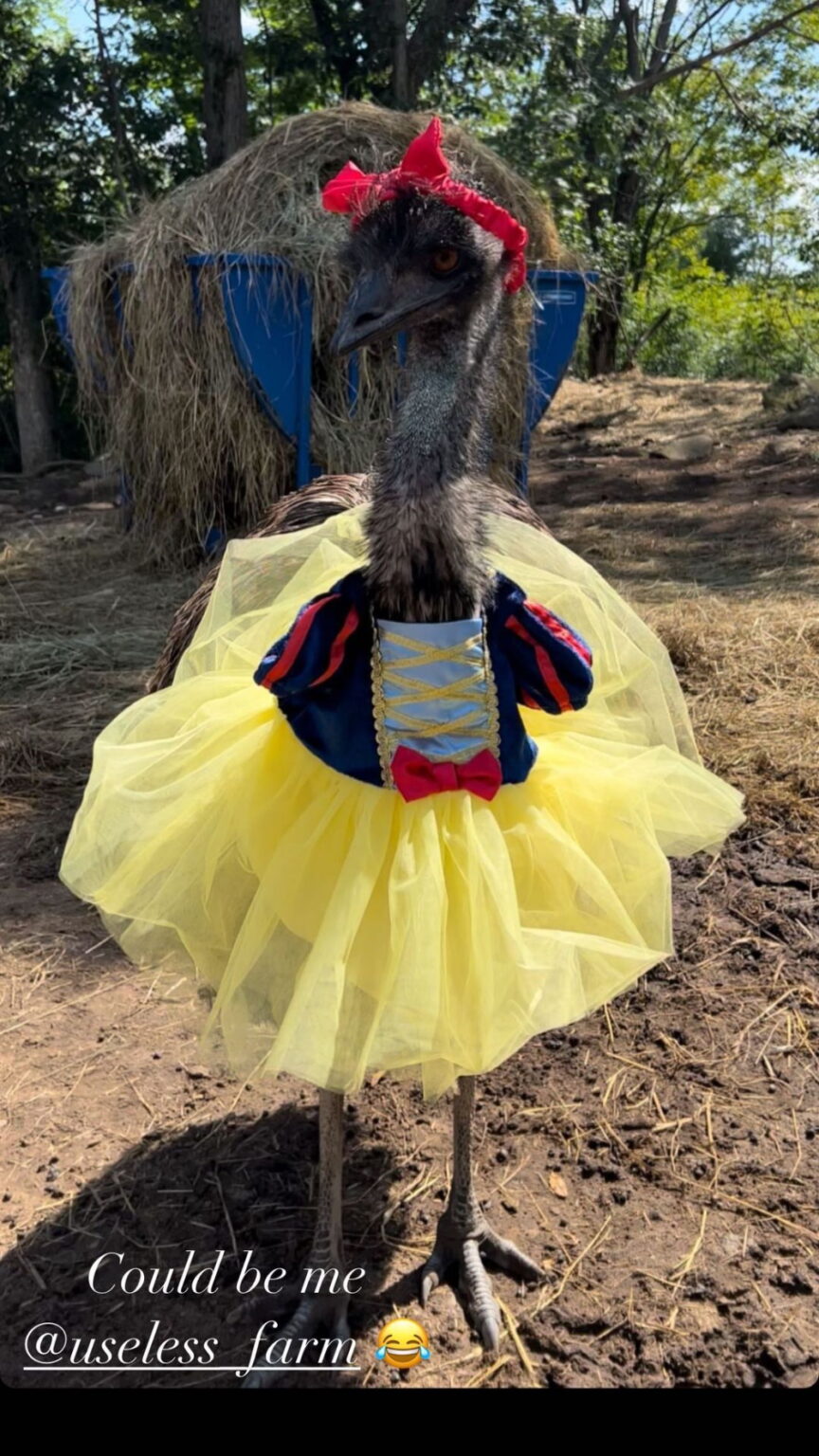 Τόνια Σωτηροπούλου - Κωστής Μαραβέγιας: Σε παλάτι στη Βόρεια Ιταλία